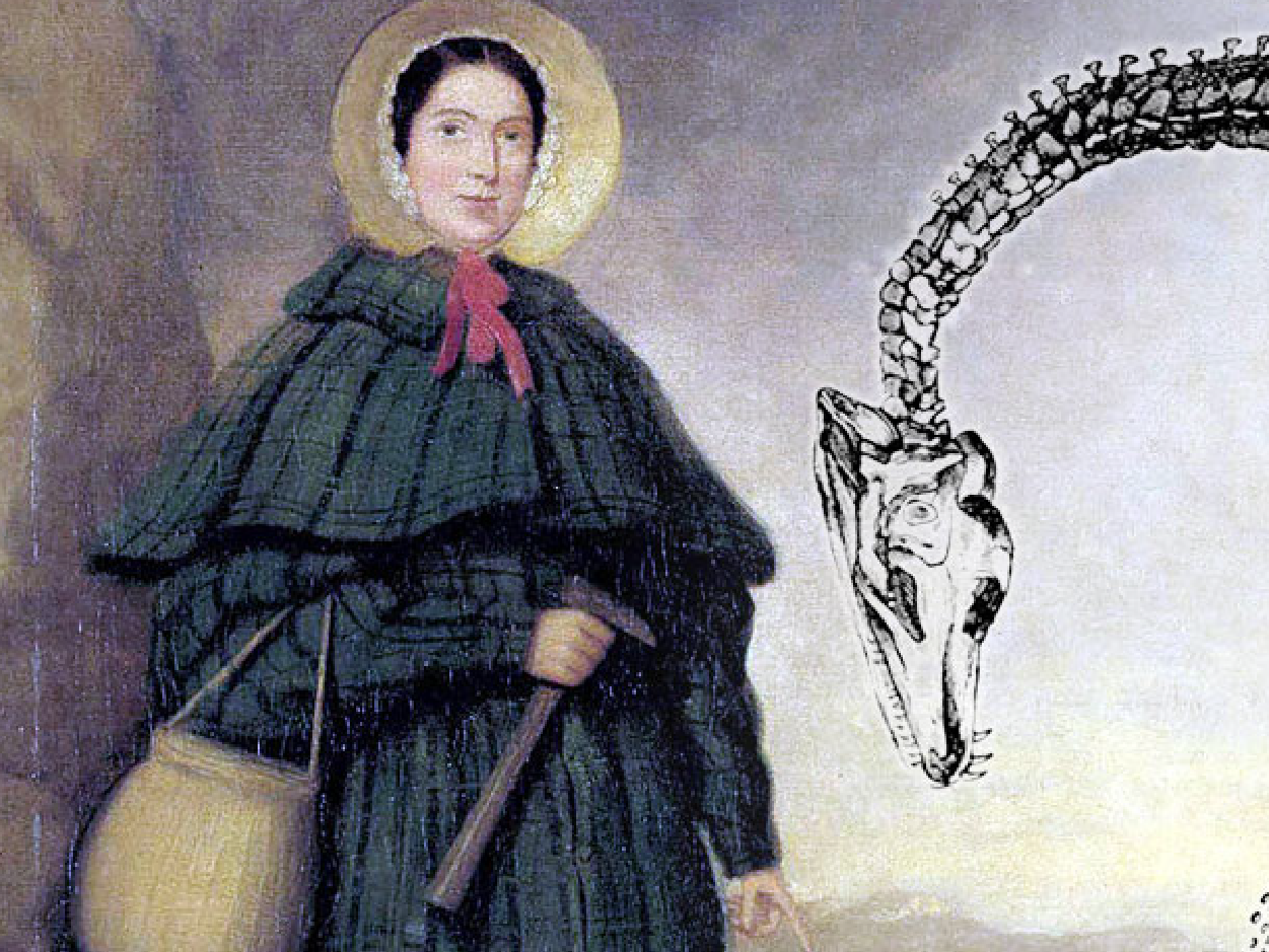 Talk: Discover the World of Mary Anning with Author Emma Bayley - a ...